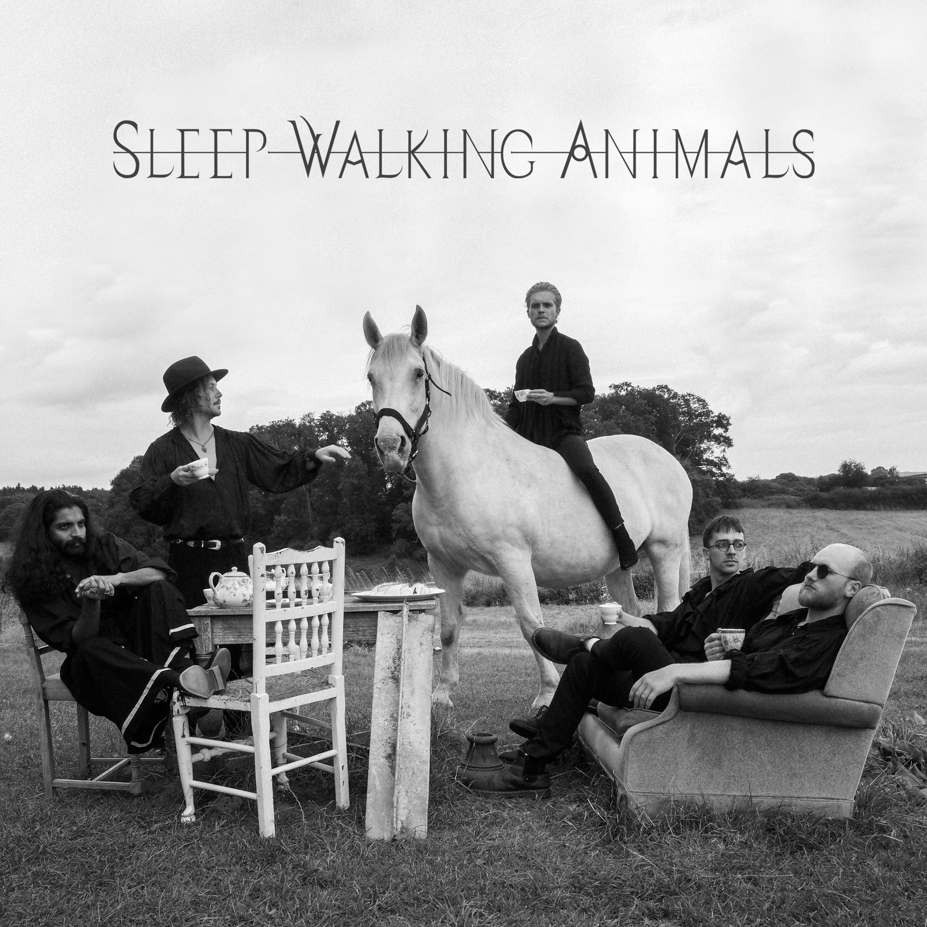Sleep Walking Animals Store